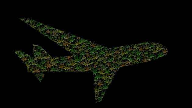 Flying With Weed: TSA Marijuana Rules Explained - AirGuide.info ...