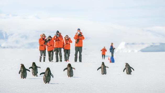 Lindblad Expeditions And National Geographic Announce 2024 Grosvenor