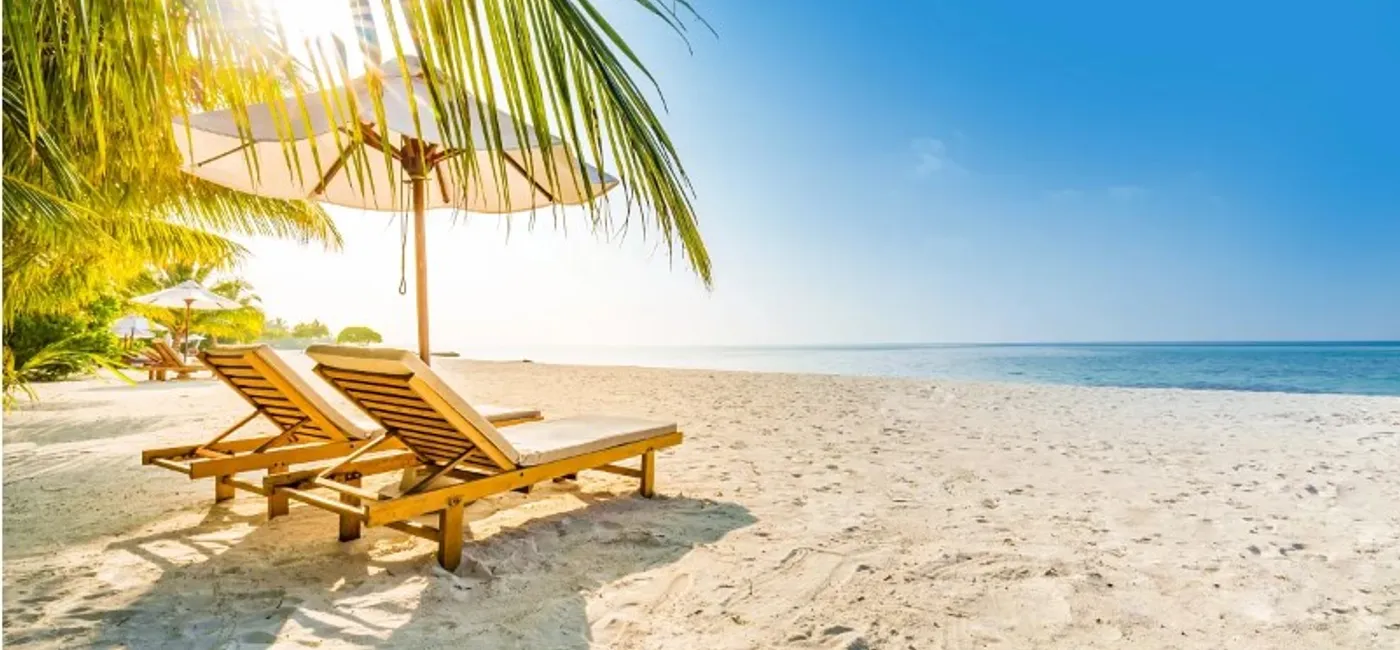 Explore the Empowering Confidant Collective by Inclusive Collection ...