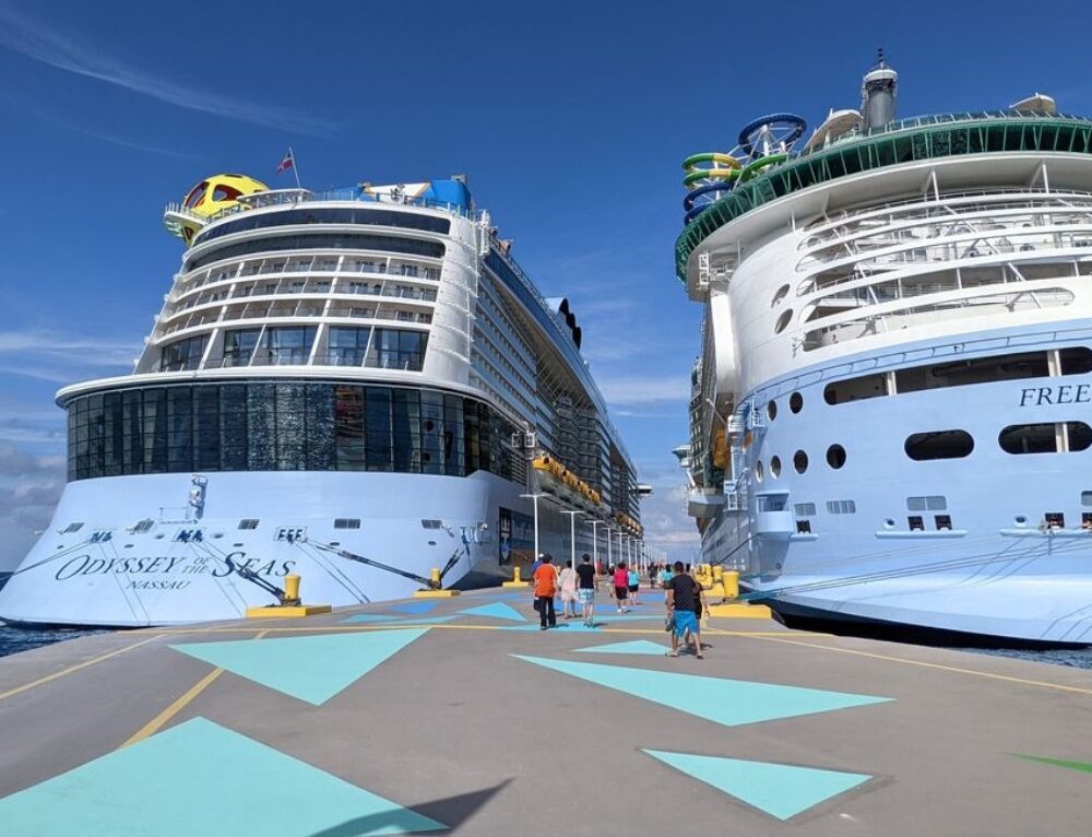 Royal Caribbean Welcomes Rover as Chief Dog Officer on Icon of the Seas ...